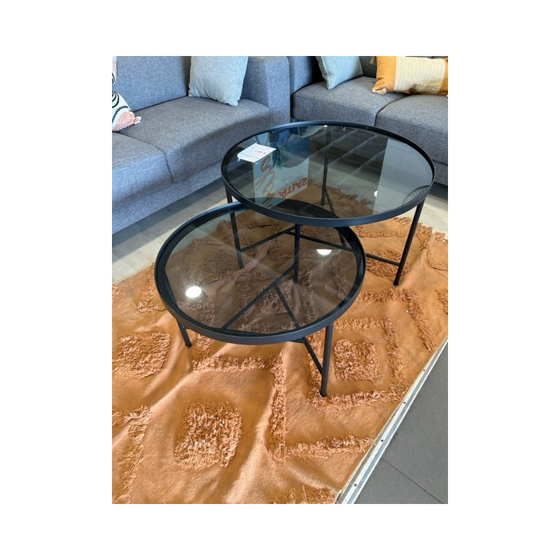 LOT DE 2 TABLES BASSES